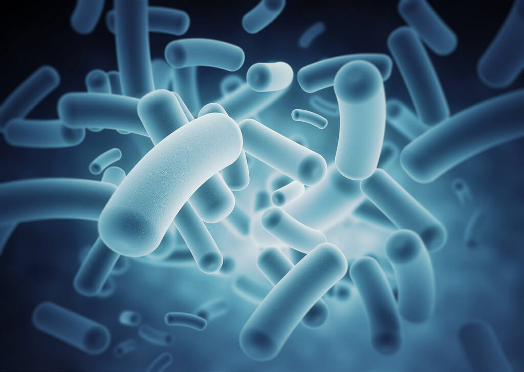 Probiotics LGG and BB-12 may promote health in high priority areas Probiotics LGG and BB-12 may promote health in high priority areas