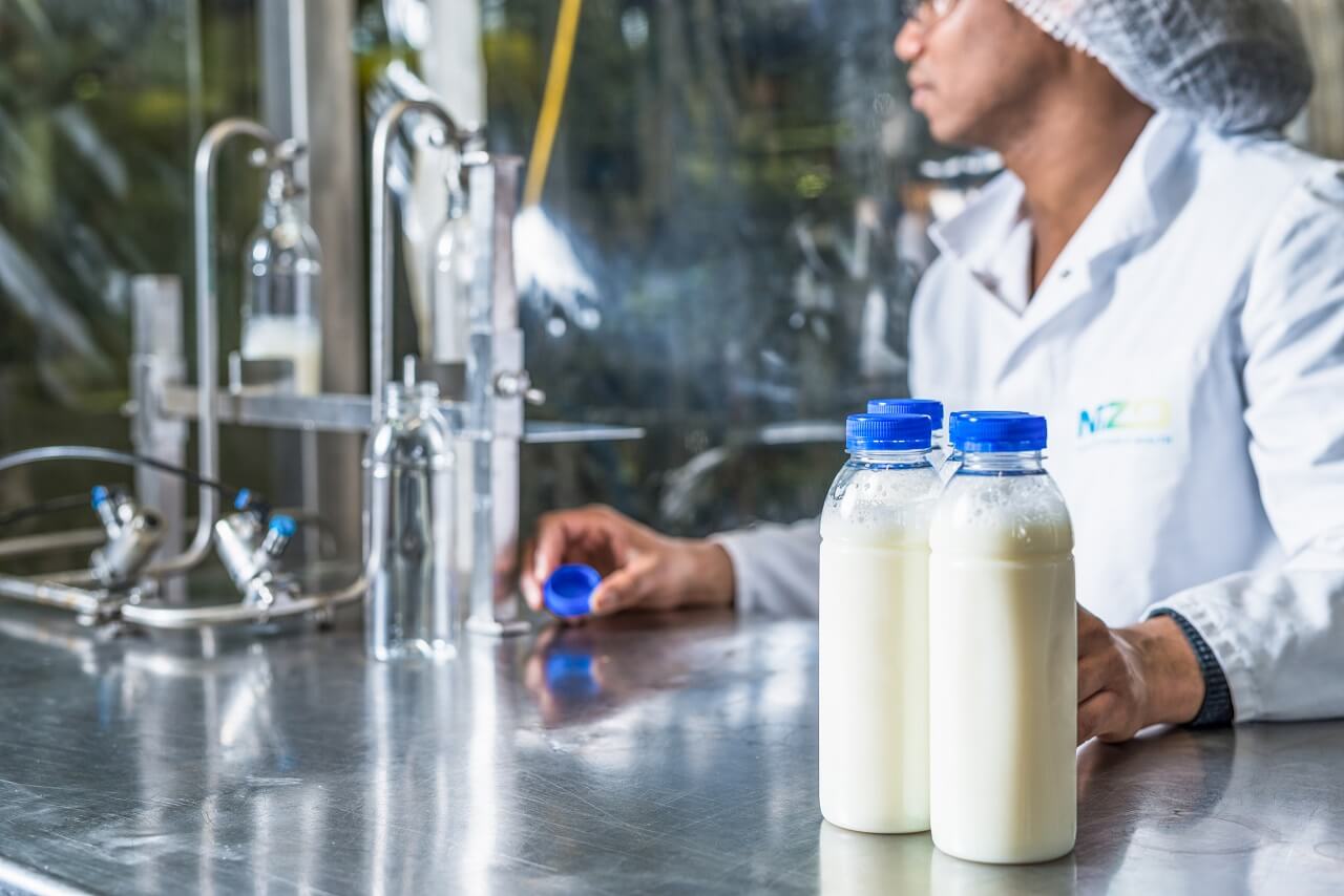 Next-generation probiotics: optimising and upscaling production | NIZO