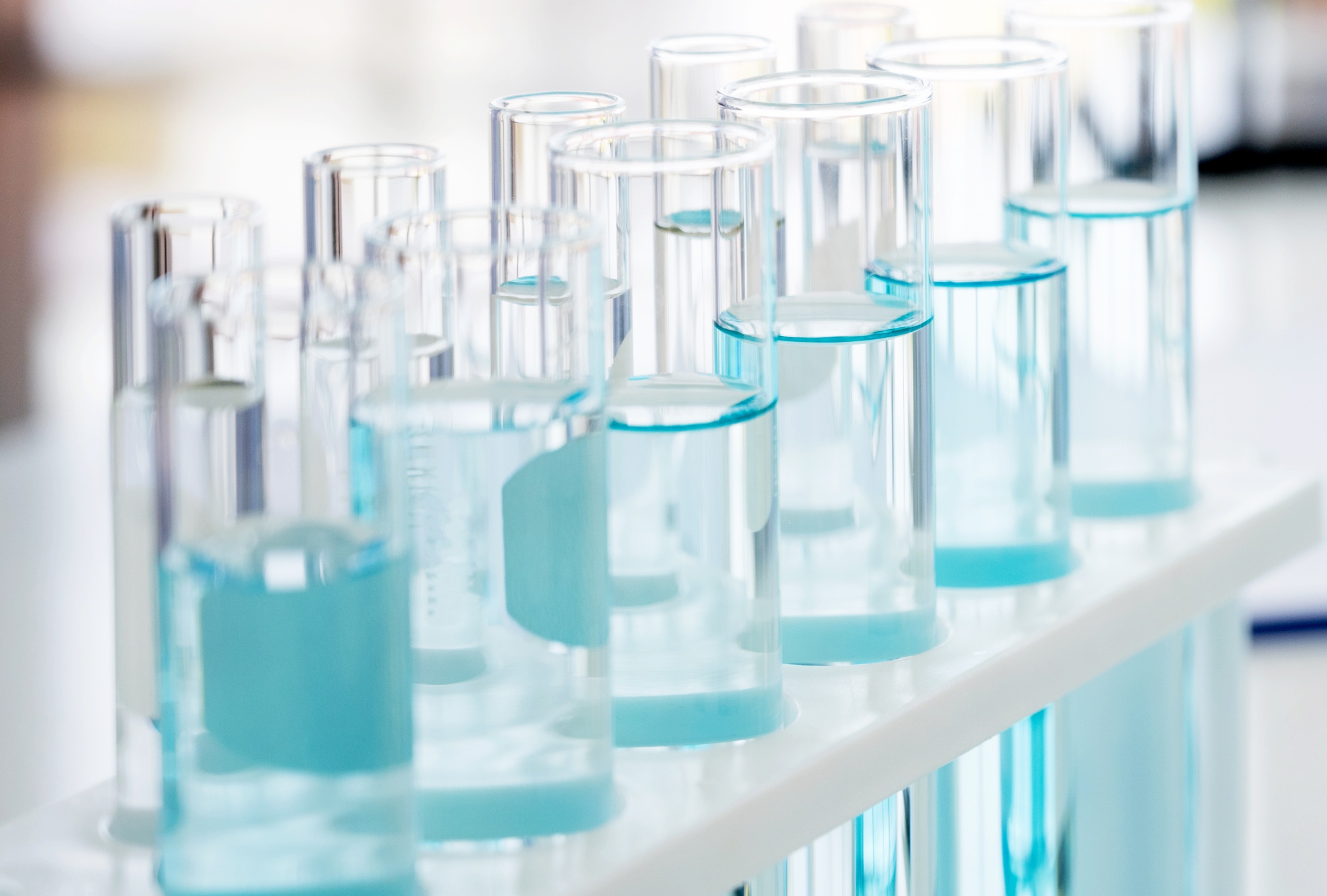 In vitro model support | NIZO