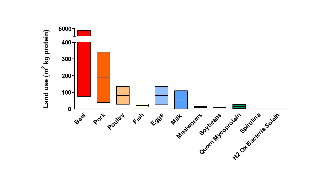 Beyond sustainability: Nutritional and health benefits of microbial biomass