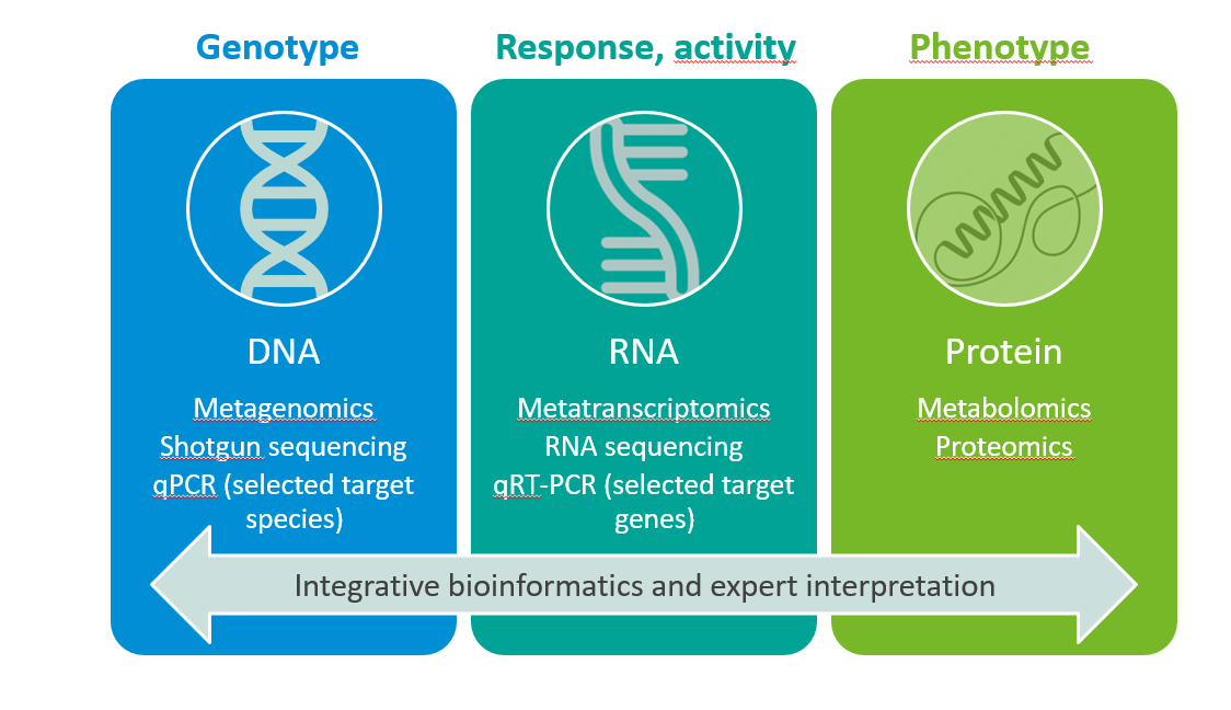 NIZO blog about microbial functionality