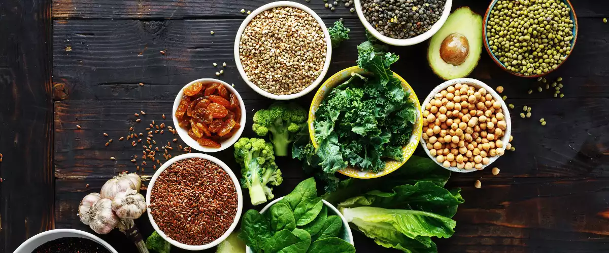 NIZO - The Food Research and Development Company | NIZO