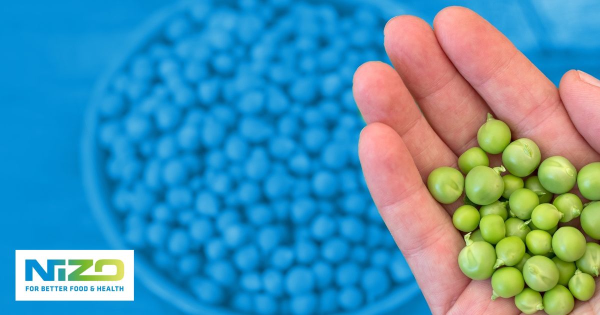 NIZO - for better Food and Health | Food Research Company