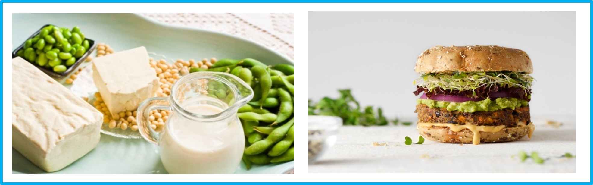 Enhancing taste of plant-based food products| NIZO